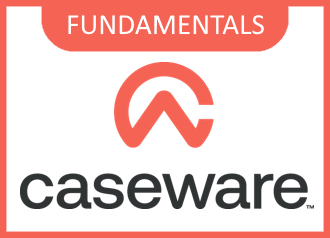 Working Papers Fundamentals | Audimation